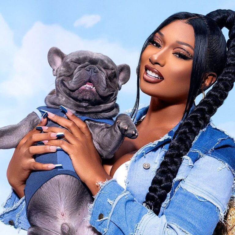 The World’s 20 Most Famous French Bulldogs - TomKings Kennel
