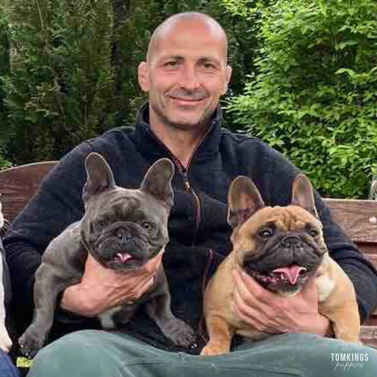 Small Dog Breeds - Ideal for First Time Owners: Guide - TomKings Kennel